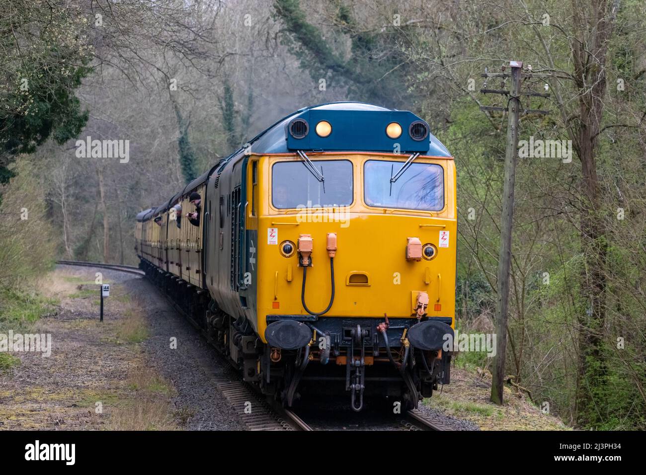 Class 50 diesel locomotive on hi-res stock photography and images - Alamy