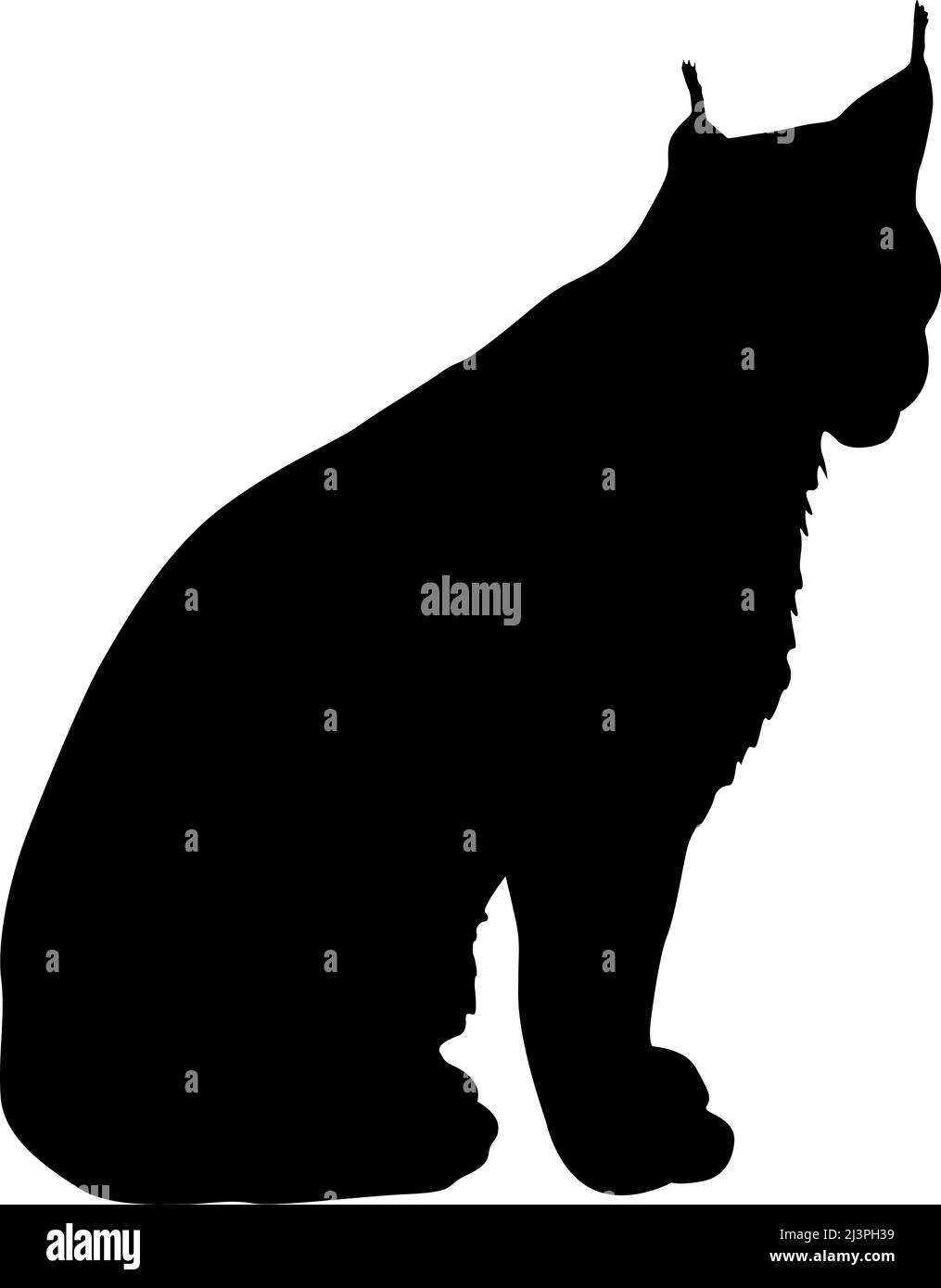 Silhouette of the Lynx on a white background Stock Vector Image & Art ...