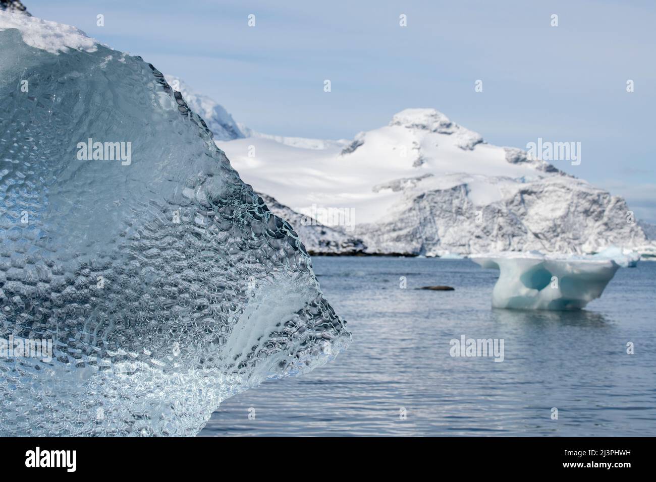Antarctica, Southern Ocean, South Orkney Islands, Coronation Island ...