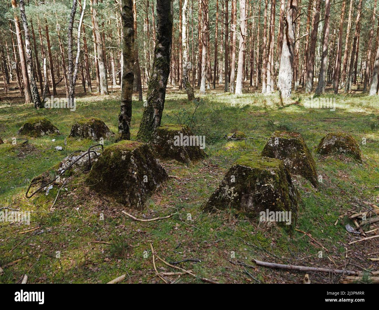 Dragons Teeth concrete WW2 defences near the Atlantic wall in Hankley ...