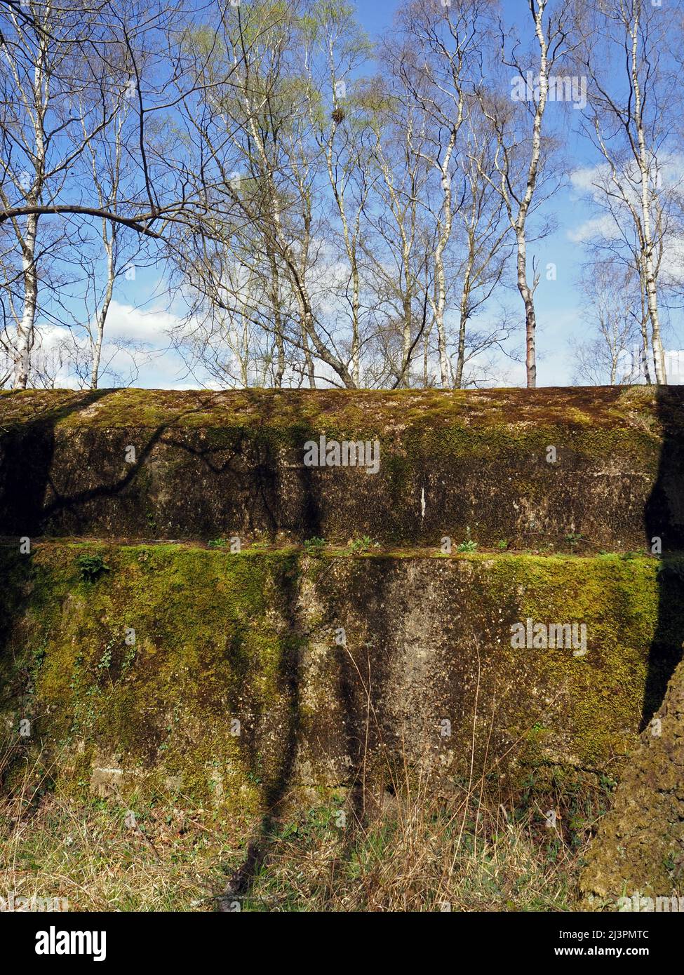 The Atlantic Wall a WW2 training defensive wall in Hankley Common ...