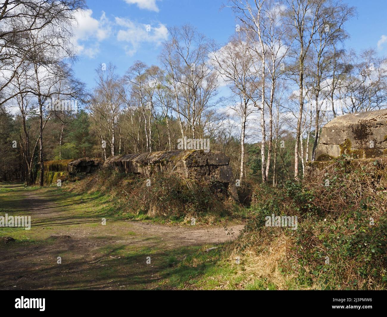 The Atlantic Wall a WW2 training defensive wall in Hankley Common ...