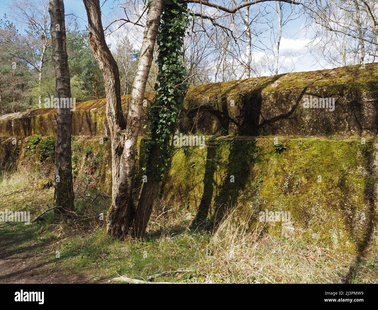 The Atlantic Wall a WW2 training defensive wall in Hankley Common ...