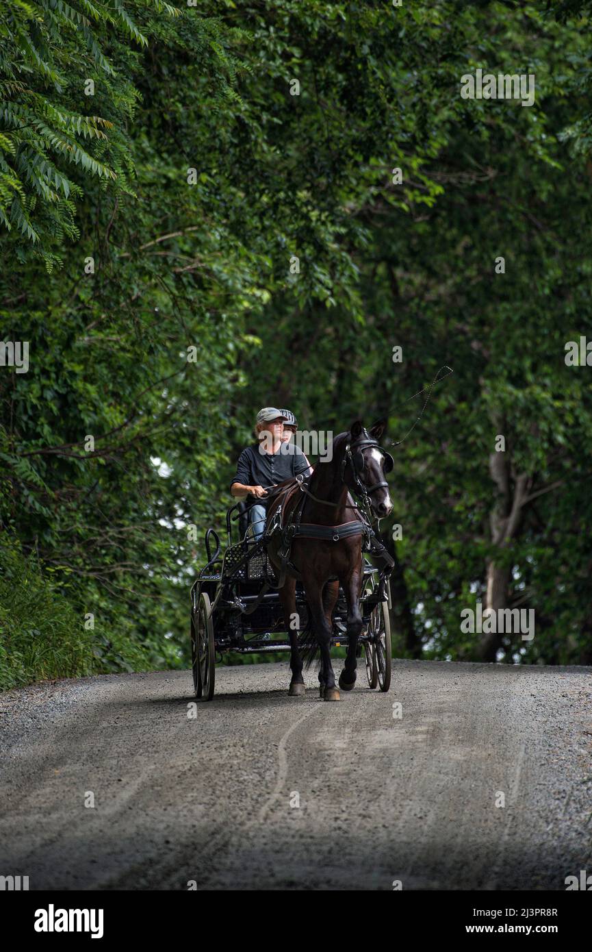 UNITED STATES - June 8, 2019: Paula Bliss is an equestrian that ...