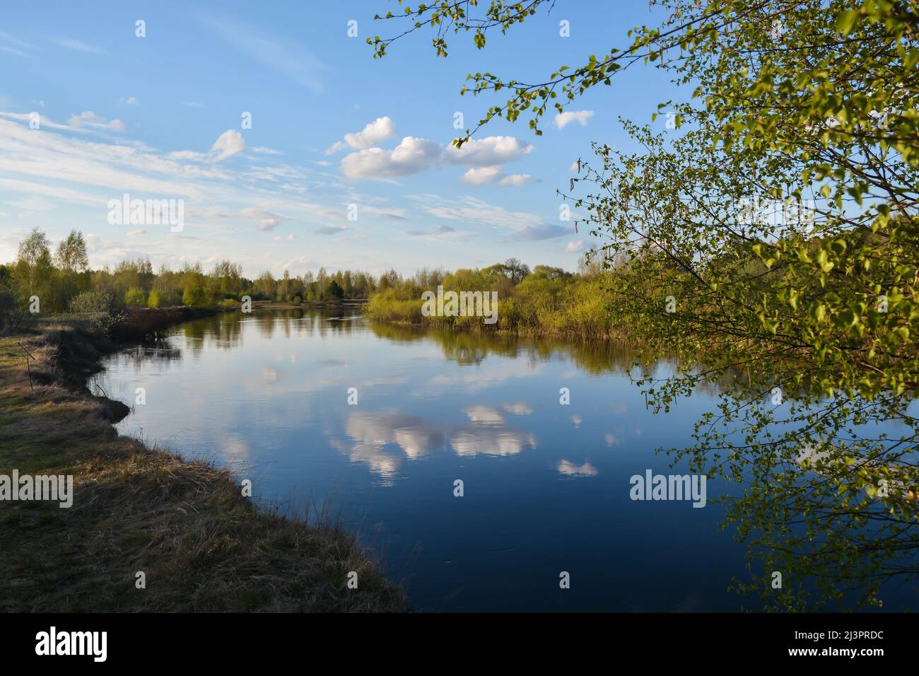Spring in central Russia. A river in the Meshchersky National Park ...