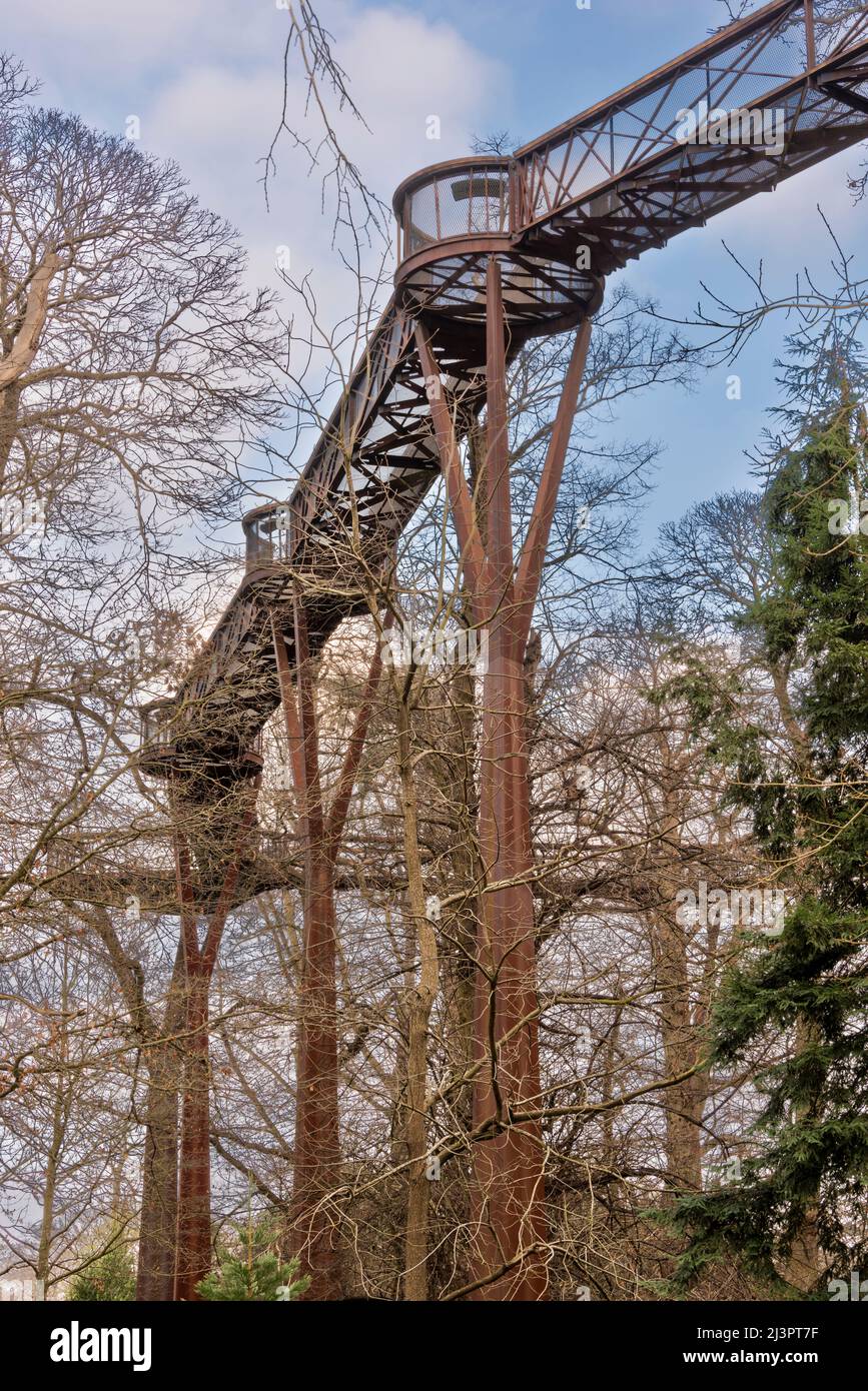 Kew Gardens Treetop Walkway. Please credit: Phillip Roberts Stock Photo ...