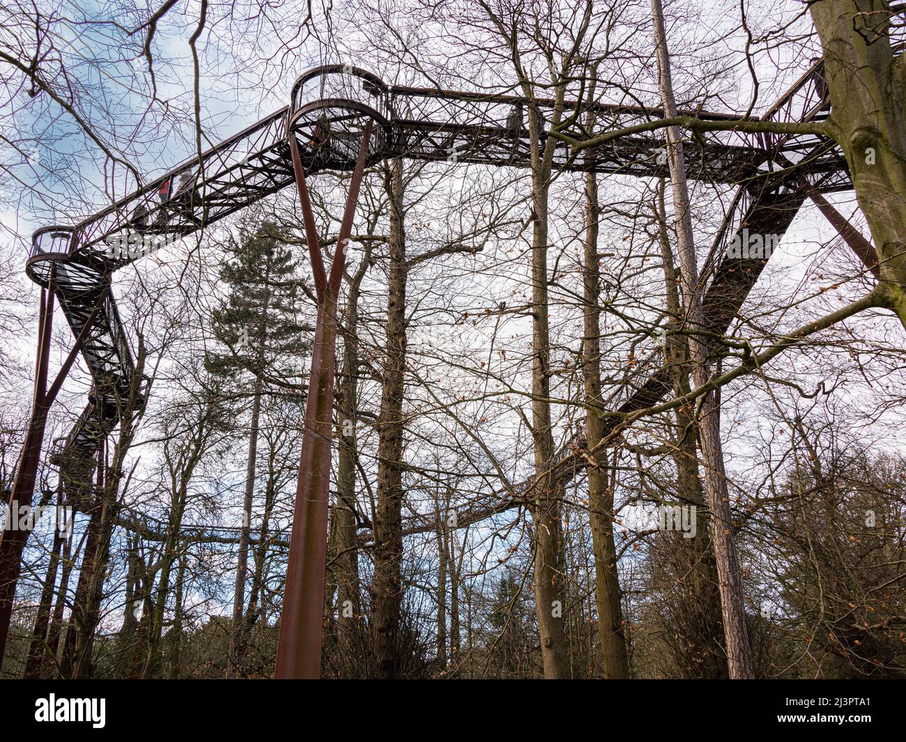 Kew Gardens Treetop Walkway. Please credit: Phillip Roberts Stock Photo ...