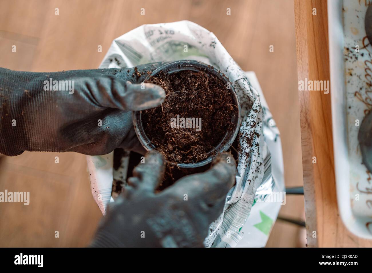 Female farmer hands holding garden tools. Woman planting seeds in the ...