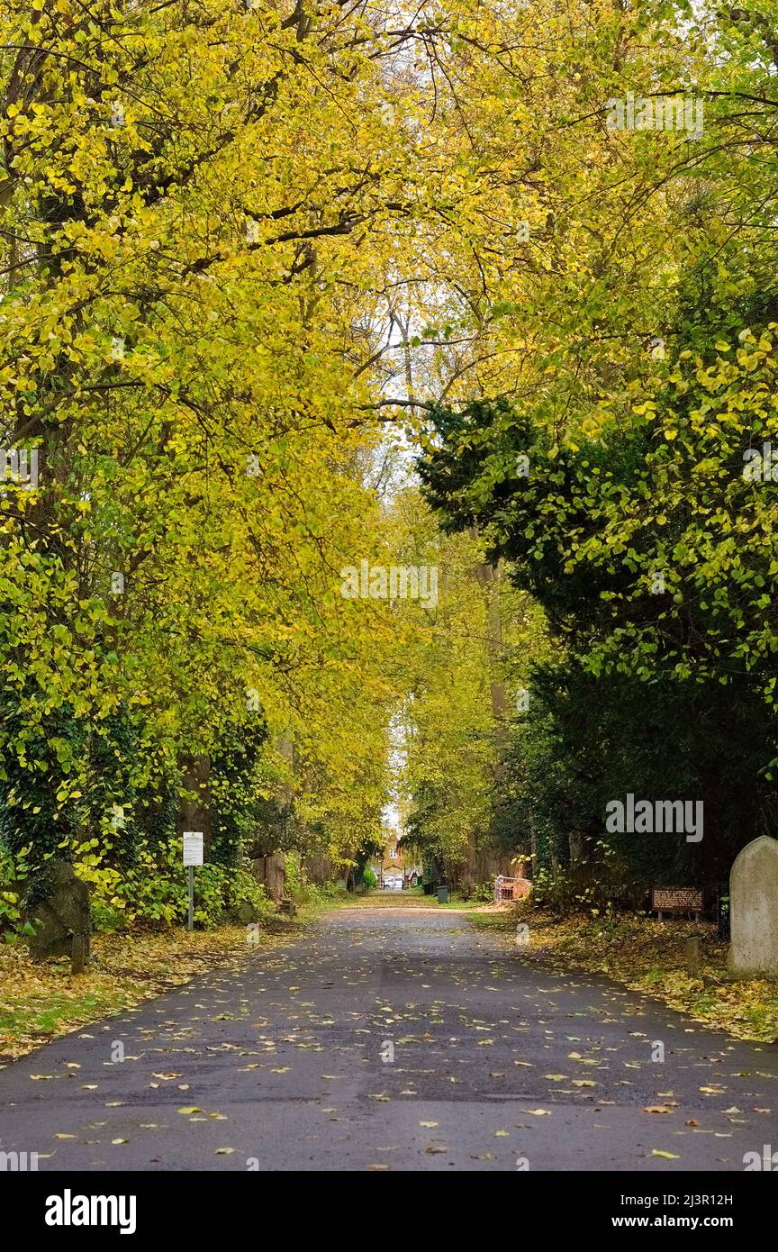 Victorian cemetery entrance hi-res stock photography and images - Alamy