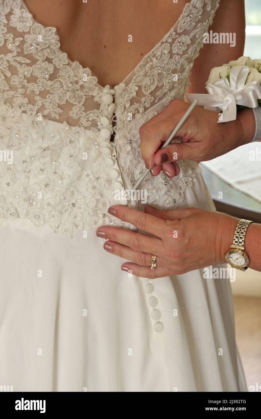 Close up of Hands Doing Final Buttoning of Bride's Wedding Dress Stock ...