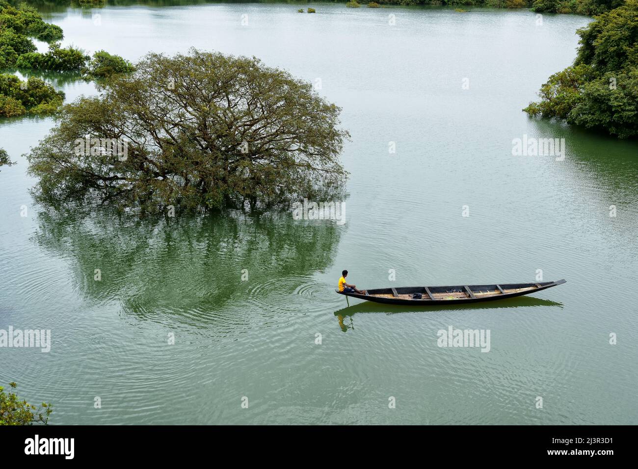 Ratargul swamp forest hi-res stock photography and images - Alamy