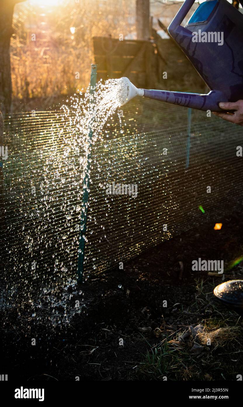 Watering character hi-res stock photography and images - Alamy