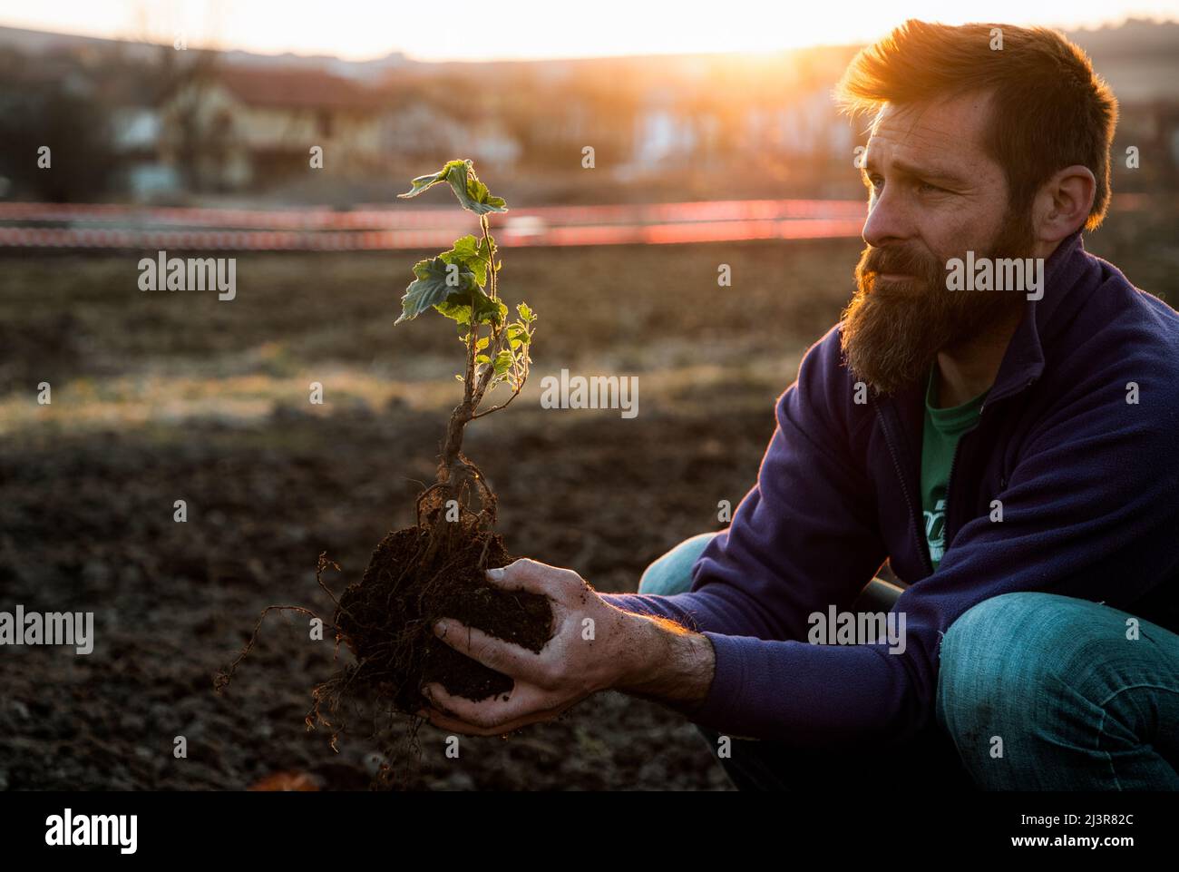 planting a tree in springtime new life concept Stock Photo - Alamy