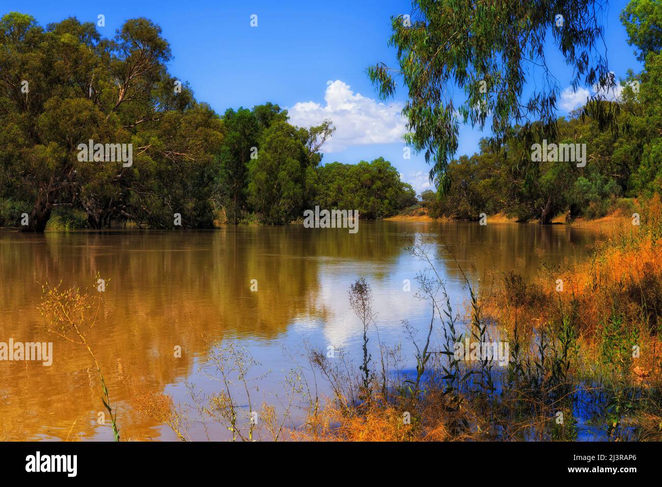 Lazy flowing waters of Darling river in Wilcannia town of Australian ...