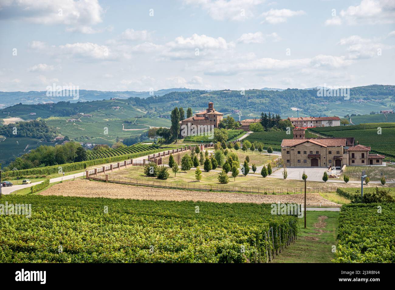 Vineyards of barolo wine, Langhe area, Piedmont, Italy Stock Photo - Alamy