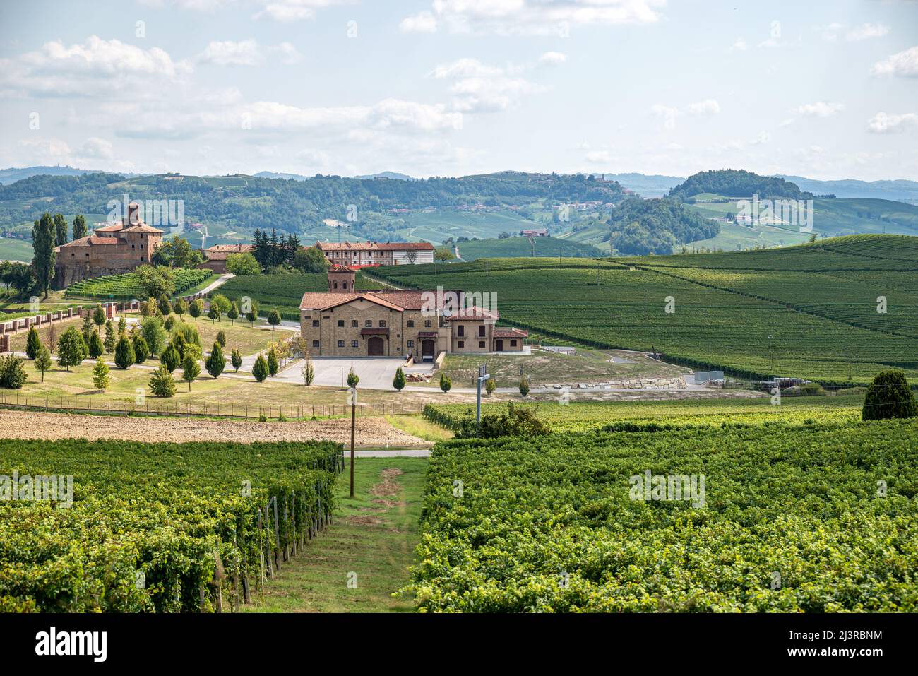 Langhe italy barolo wine drinking hi-res stock photography and images ...