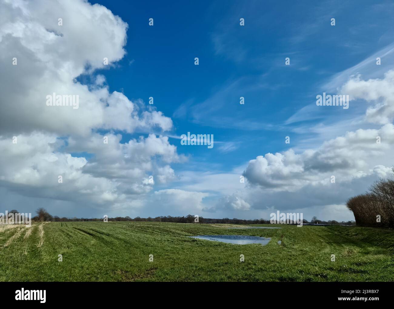 Panorama of a northern european country landscape with fields and green ...