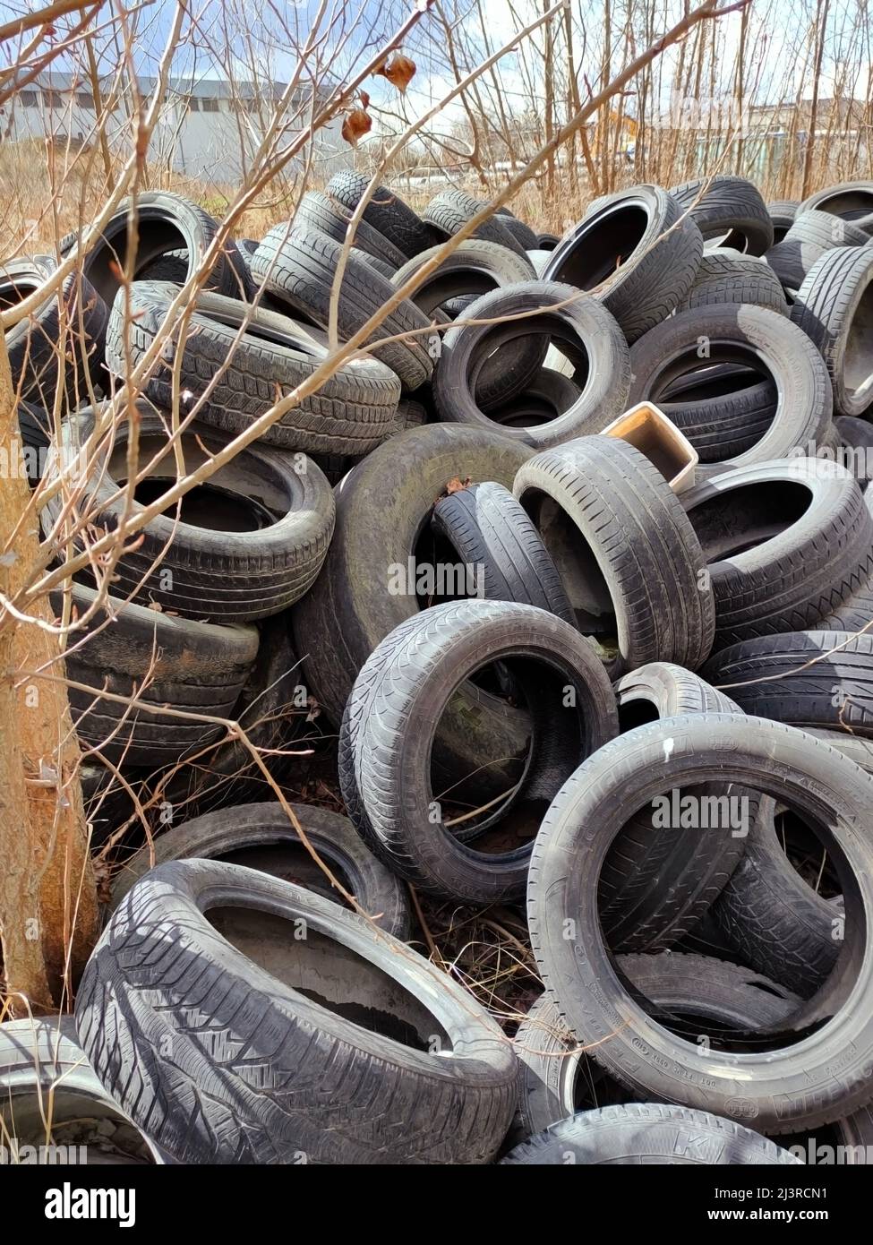 Discarded car tires in the meadow - illegal landfill. Nature pollution ...