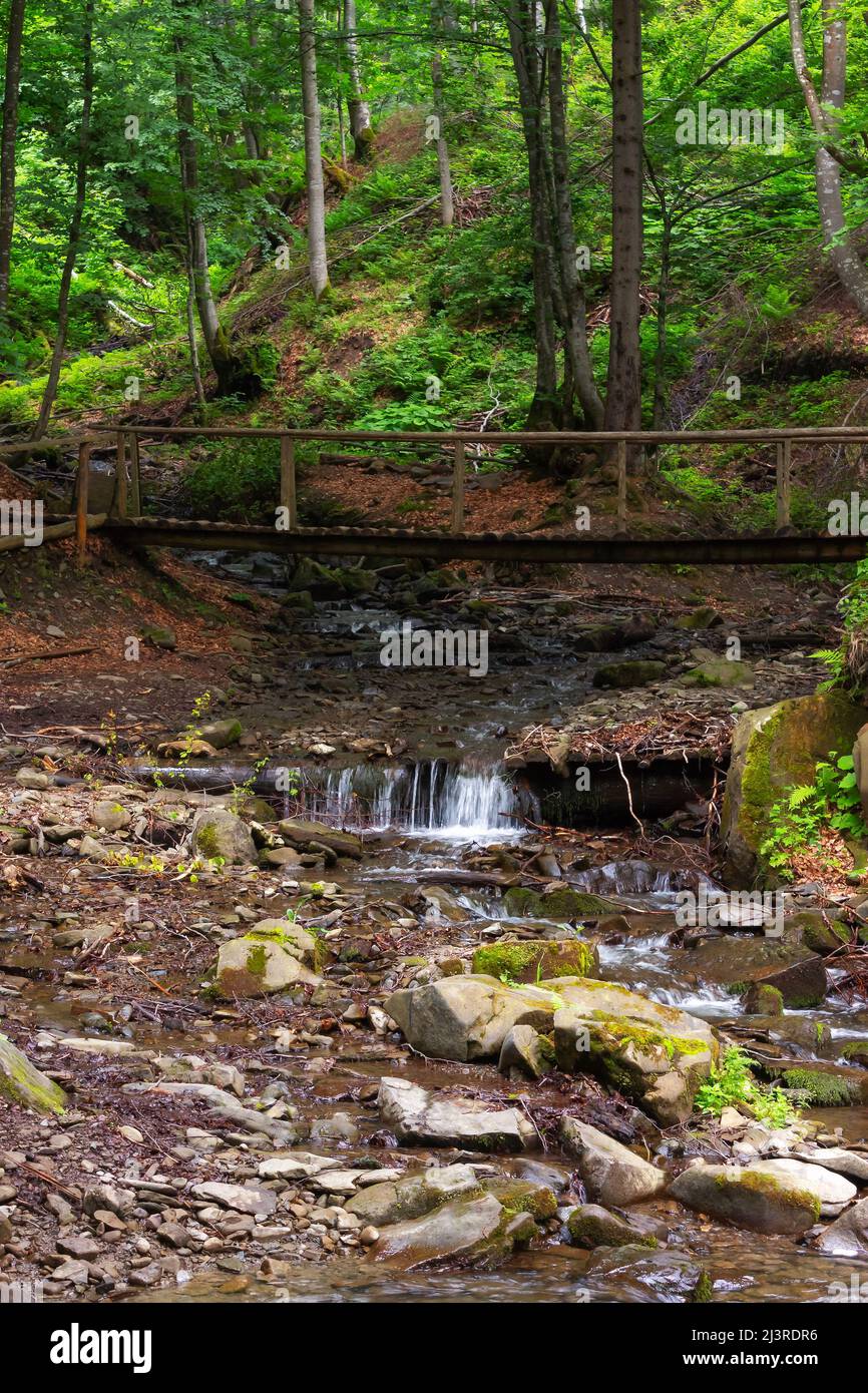 wooden bridge over the brook. beautiful nature scenery in the forest of ...