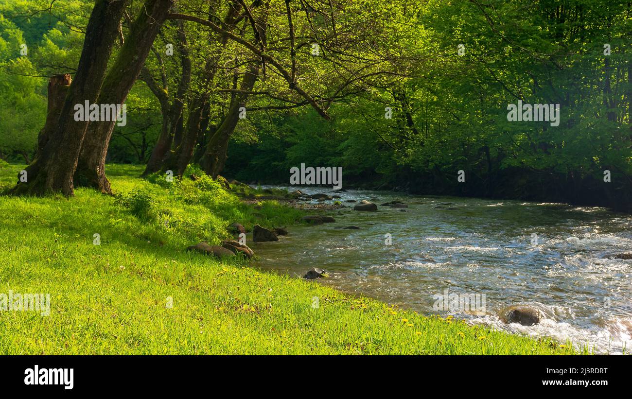 source of Turiya river in spring. beautiful nature landscape in the ...