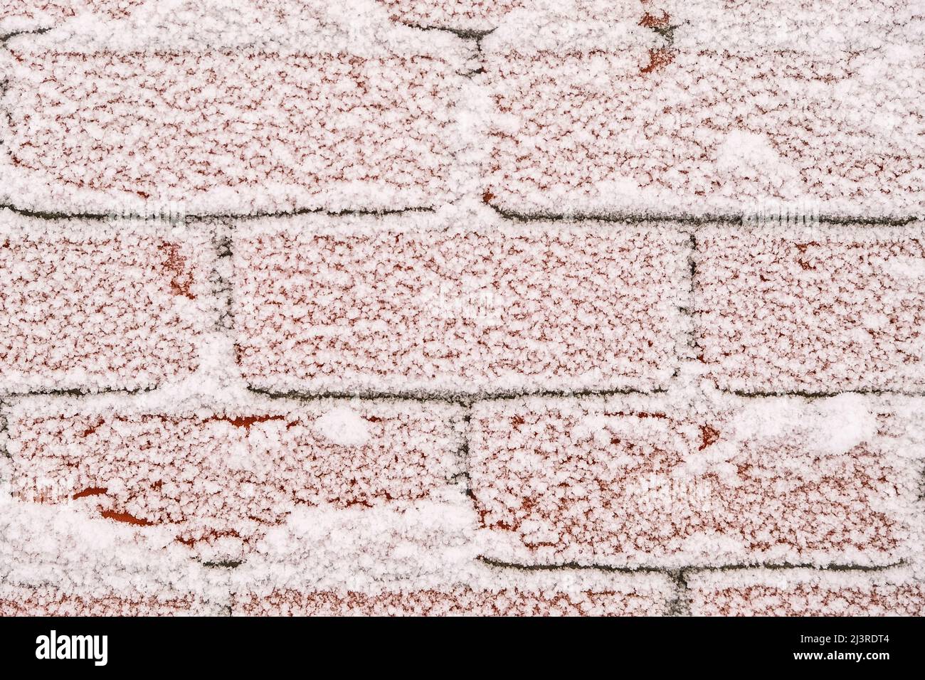 The brick wall is covered with snow patterns. Frost on the brick ...