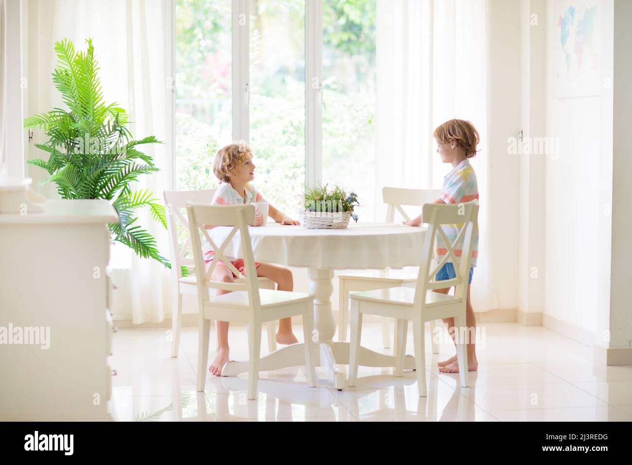 Kids eating breakfast in white kitchen. Children eat sandwich and drink ...