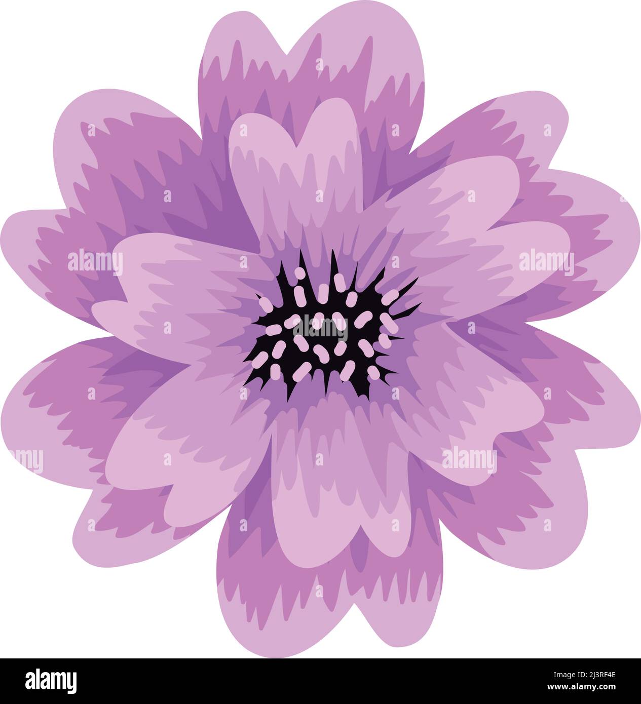 lilac flower spring nature icon Stock Vector Image & Art - Alamy