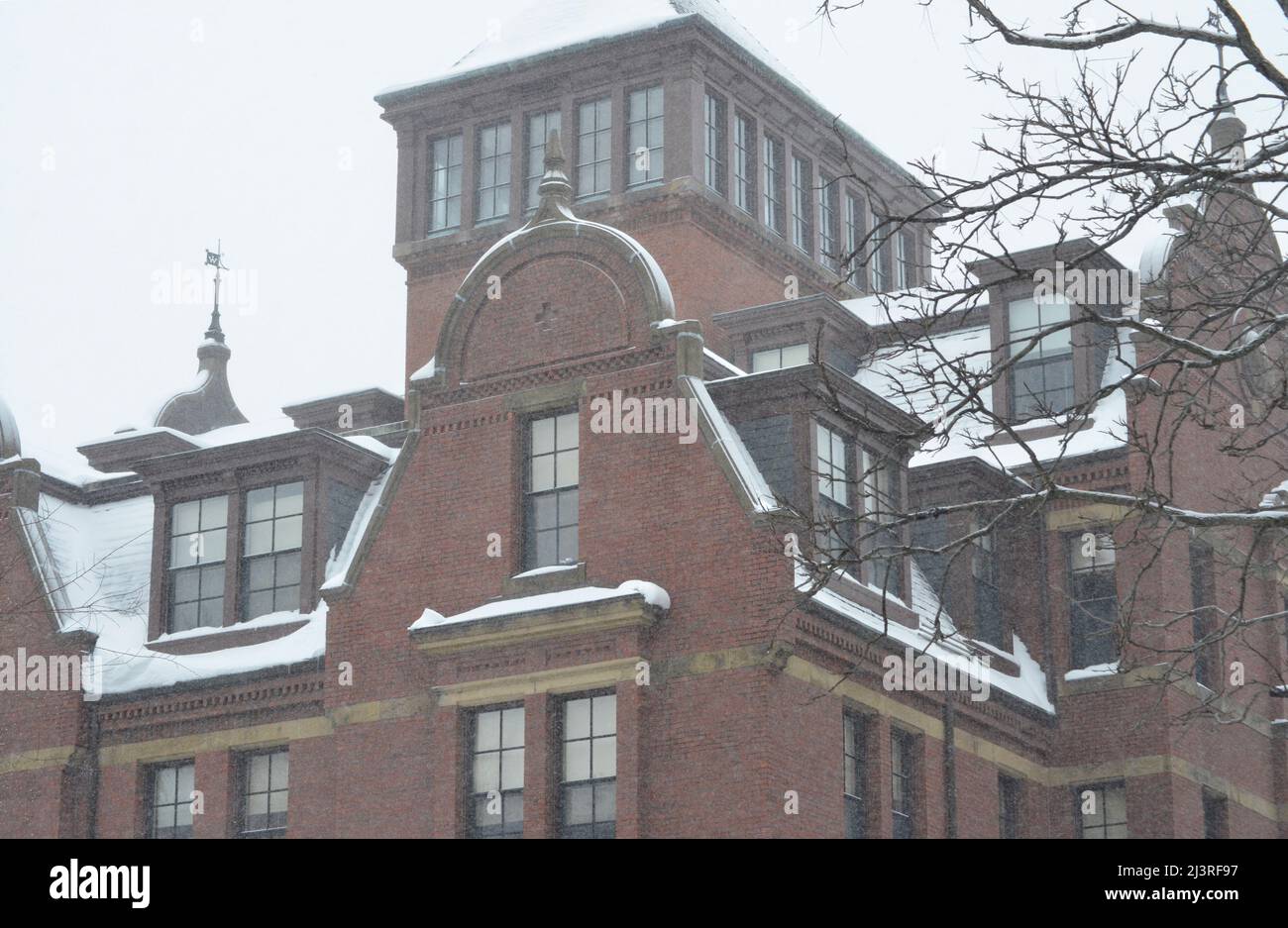 Snowy winter scene from the Harvard University campus in Cambridge ...