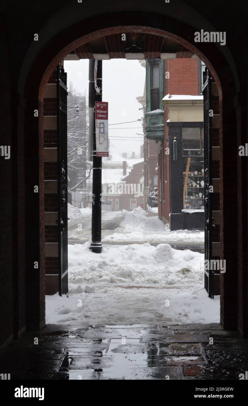 Snowy winter scene from the Harvard University campus in Cambridge ...