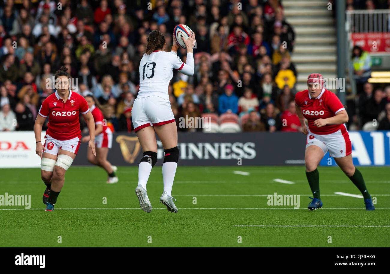 Red roses rugby hi-res stock photography and images - Alamy
