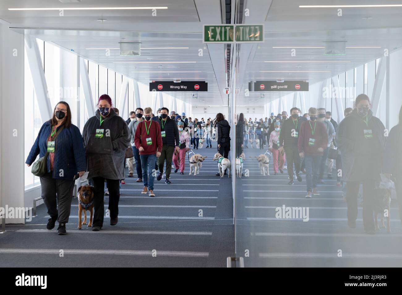 SeaTac, Washington, USA. 9th April, 2022. Volunteers pass through an ...
