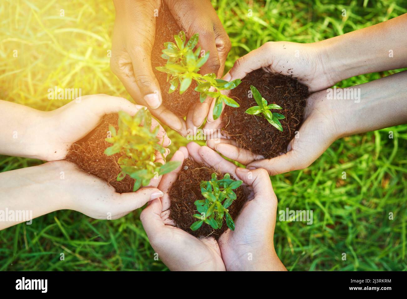 Together we can grow a greener tomorrow. Cropped shot of a group of ...