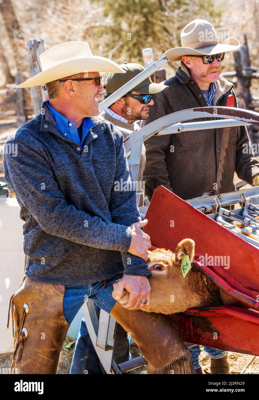 Cowboys branding hi-res stock photography and images - Alamy