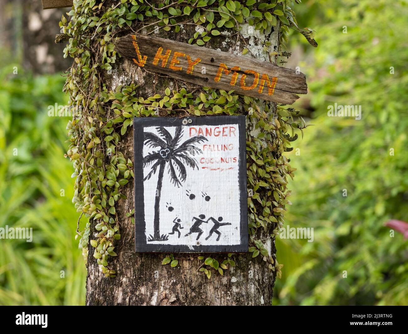 Hand painted beach warning sign: danger falling coconuts Stock Photo ...