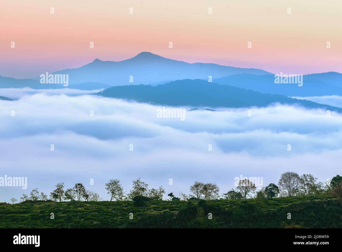 New morning scene on top hill looking down with fog covering valley and ...
