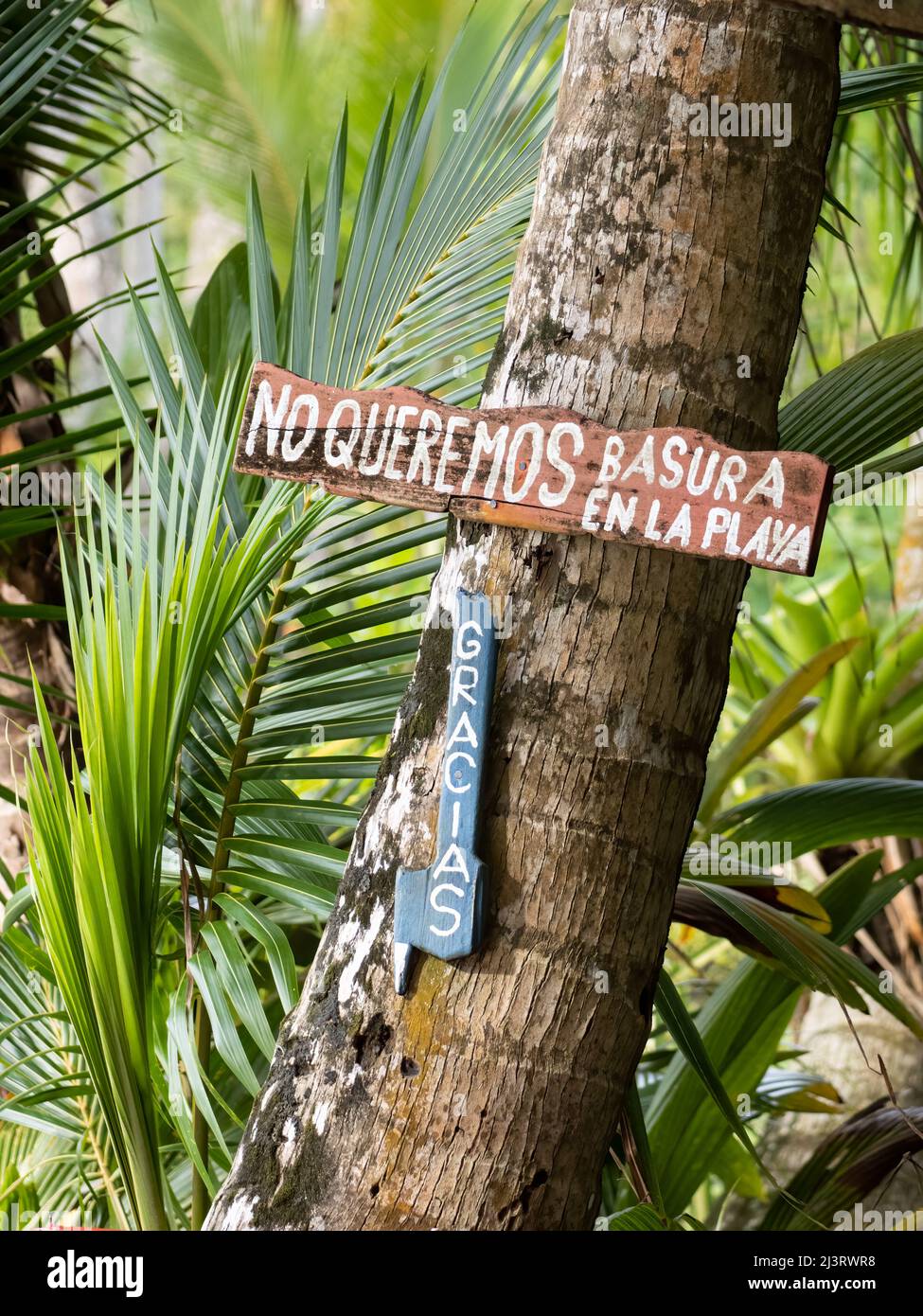 No Littering Spanish