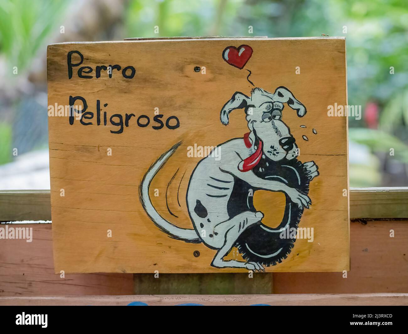 Clever hand-painted sign "Perro Peligroso"--humorous Beware of Dog ...