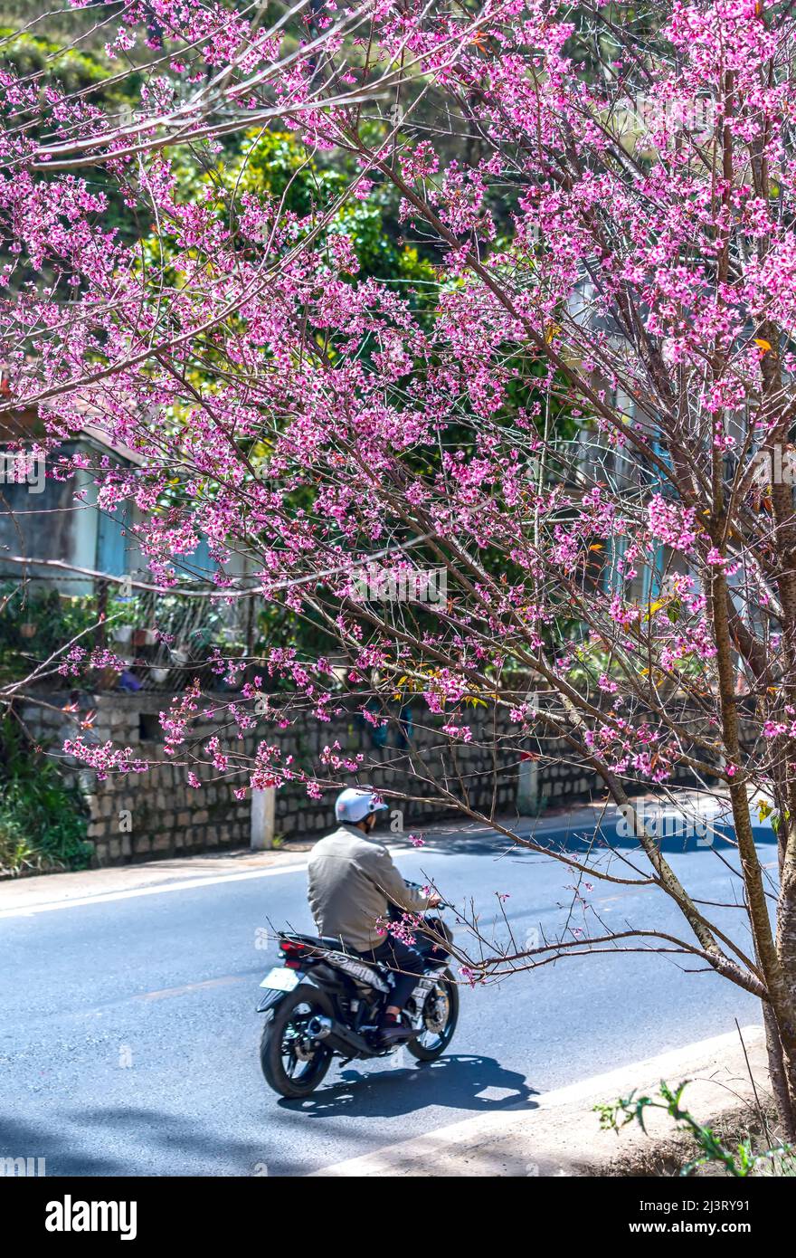 Vietnam police car hi-res stock photography and images - Alamy
