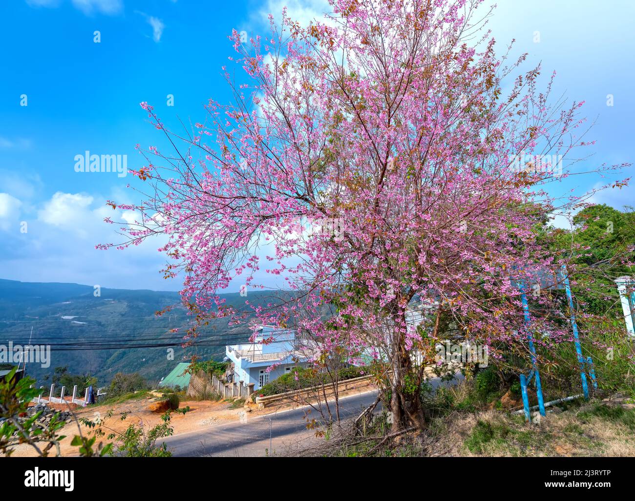 Vietnam police car hi-res stock photography and images - Alamy