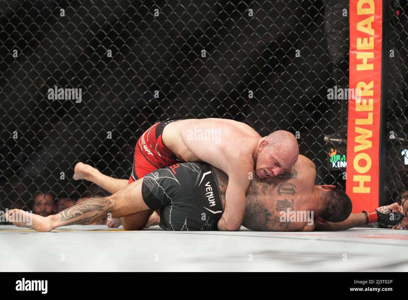 JACKSONVILLE, FL - APRIL 9: Mark Madsen (top) controls the body of Vinc ...