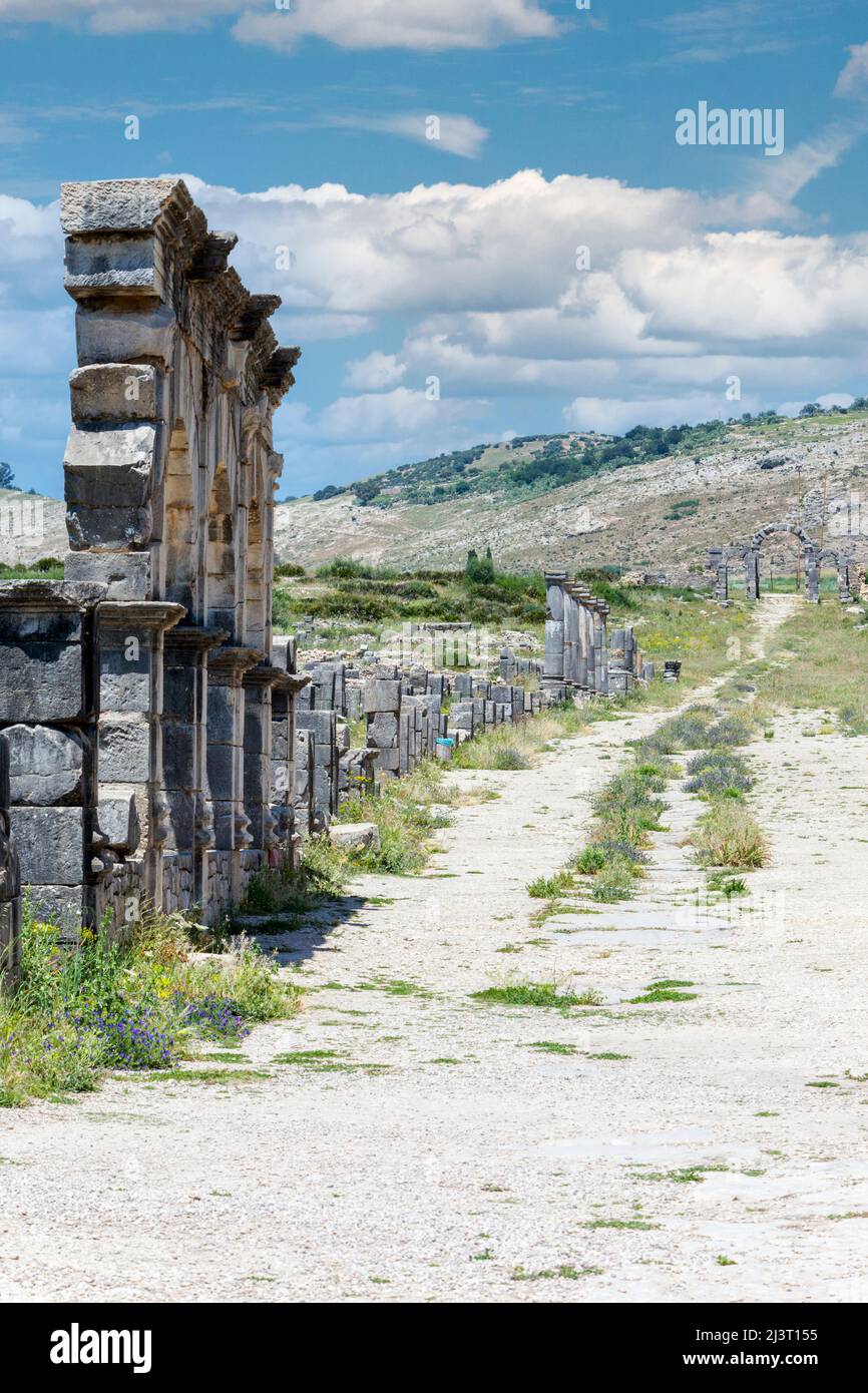Volubilis, Morocco. Decumanus Maximus Road, Leading to the Tingis ...
