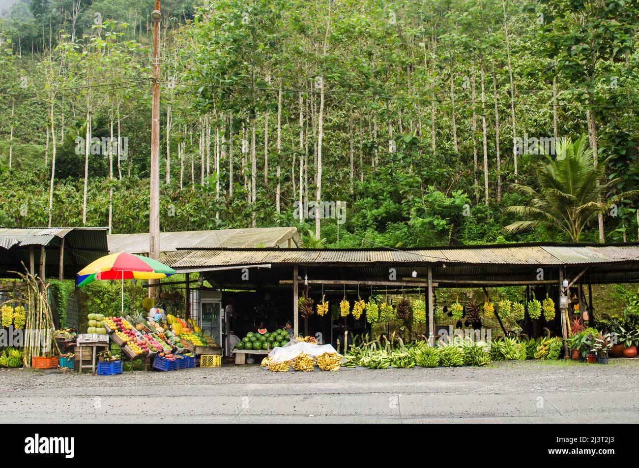 Street market with tropical fruits stalls on Via Colectora Cuenca ...