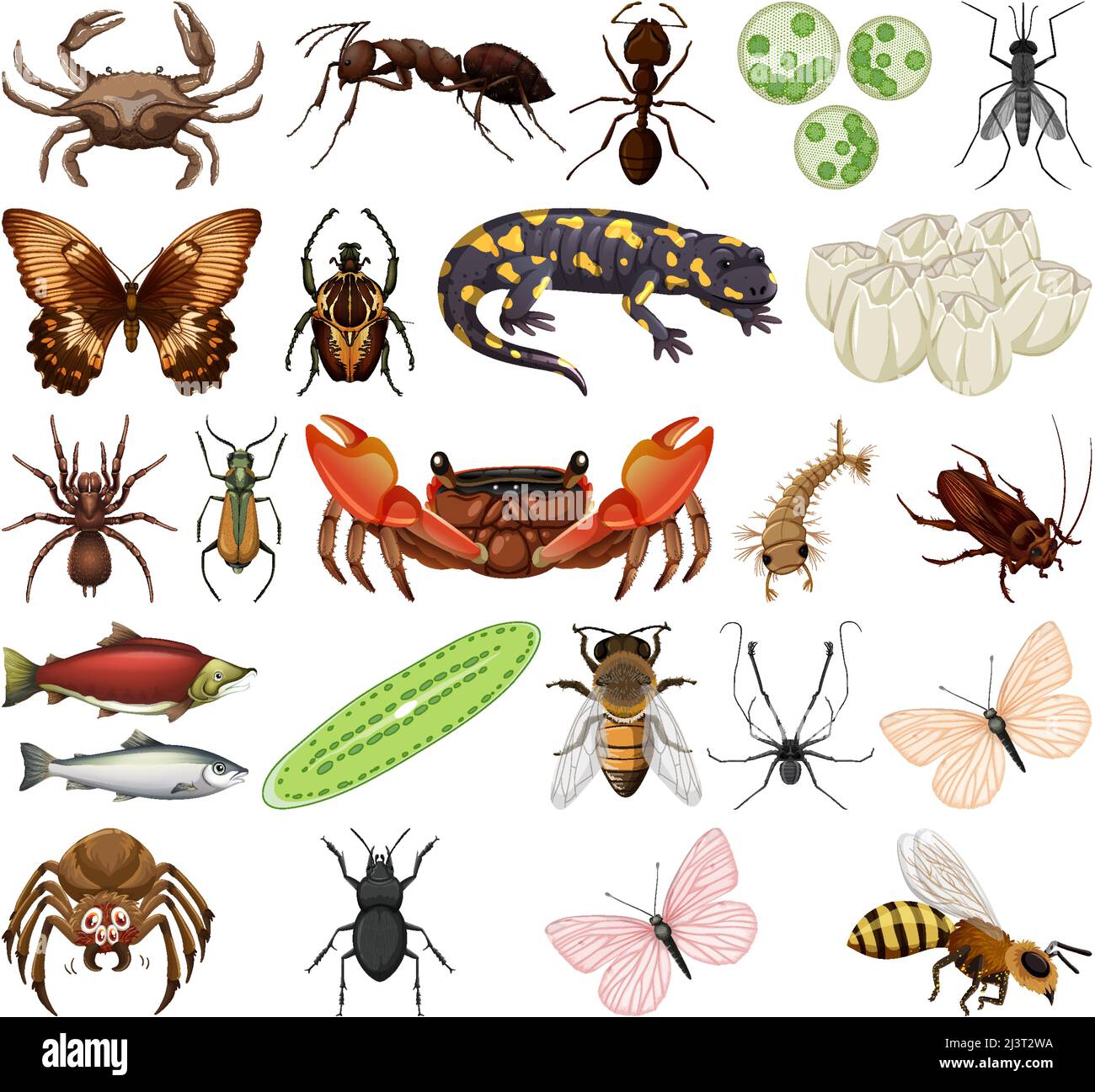 Different kinds of insects and animals on white background illustration ...