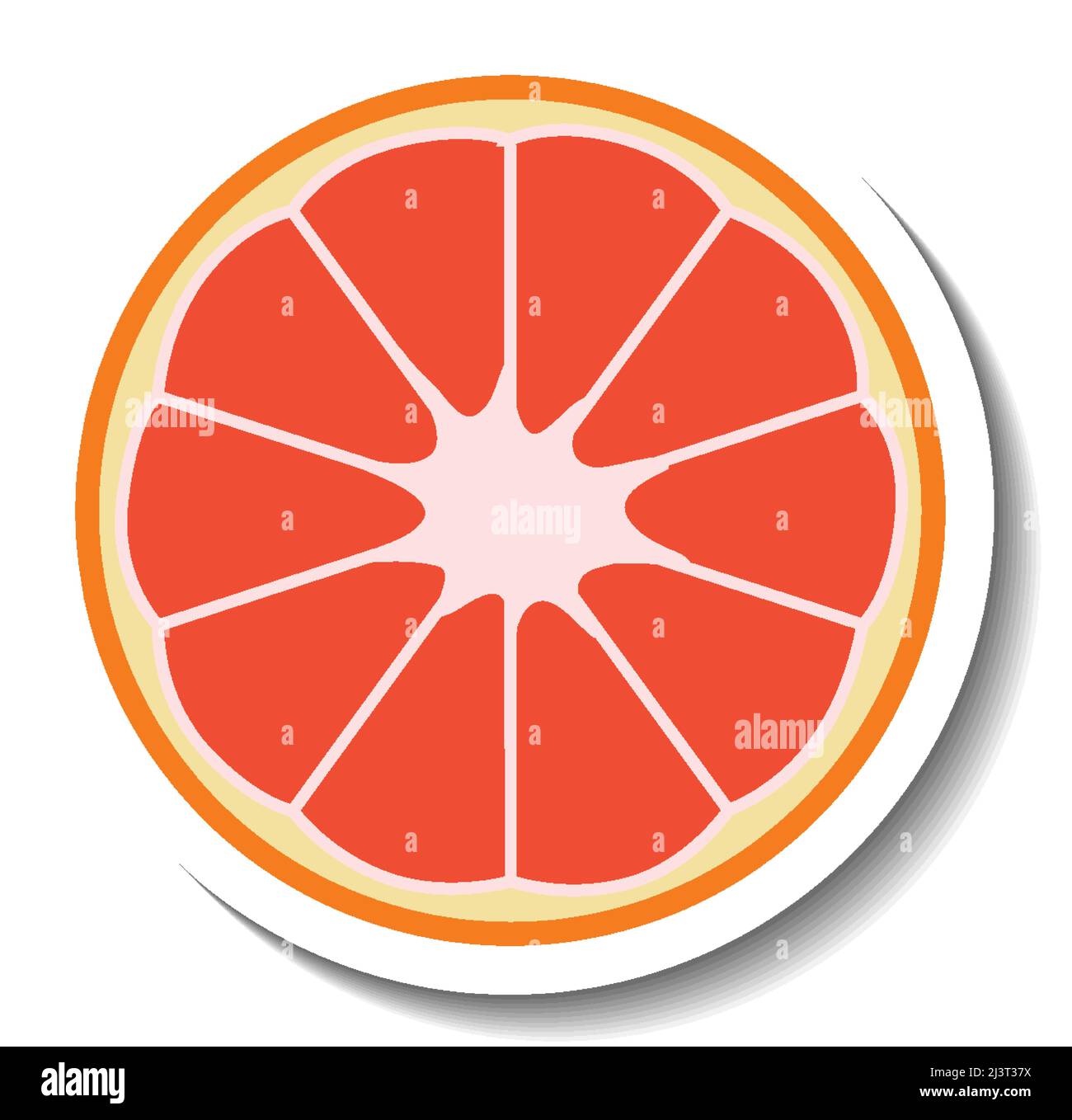 Sliced grapefruit in cartoon style illustration Stock Vector Image ...