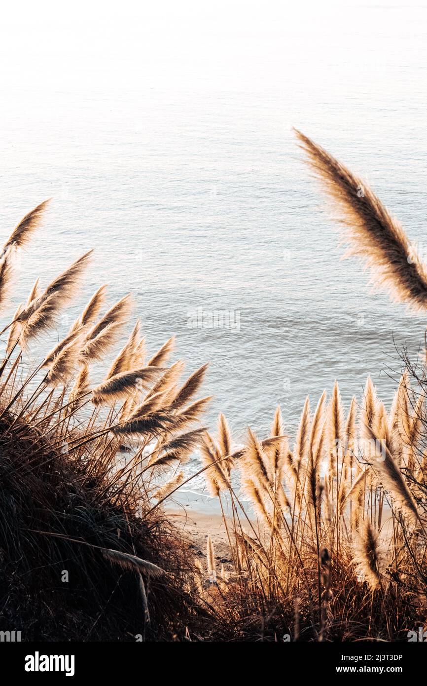 A calming nature scene consisting of gentle sea waves and beautiful ...