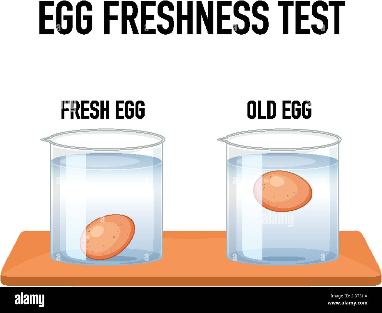 Science Experiment with test eggs for freshness illustration Stock ...