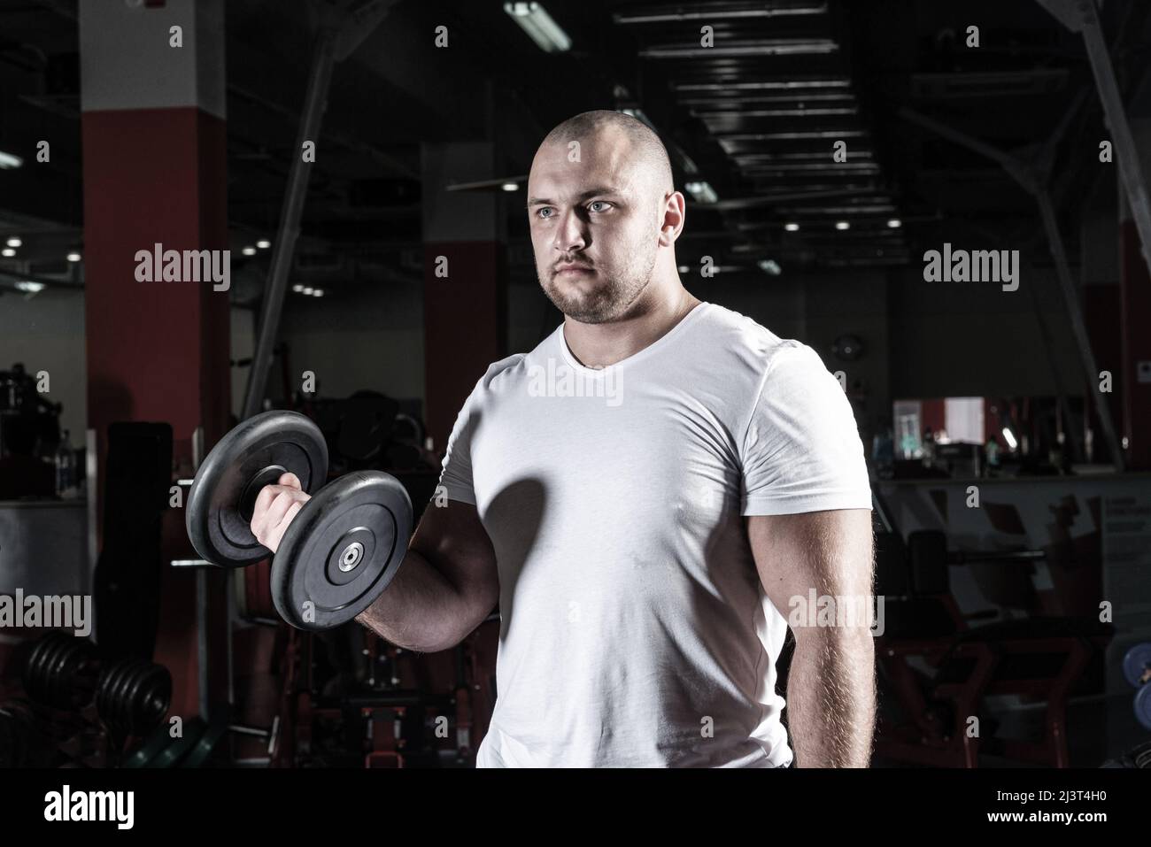 Male bodybuilder engaged with dumbbells in the gym Stock Photo - Alamy
