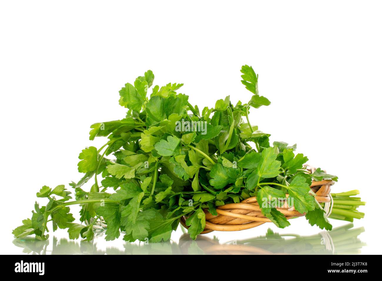 One bunch of fresh green parsley with vine wreath, close-up, isolated ...