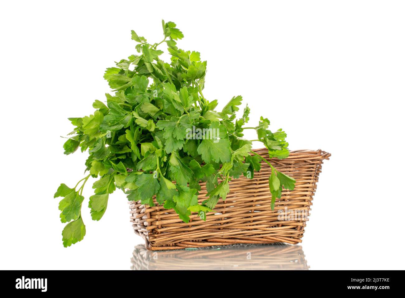 One bunch of fresh green parsley in a vine basket, close-up, isolated ...