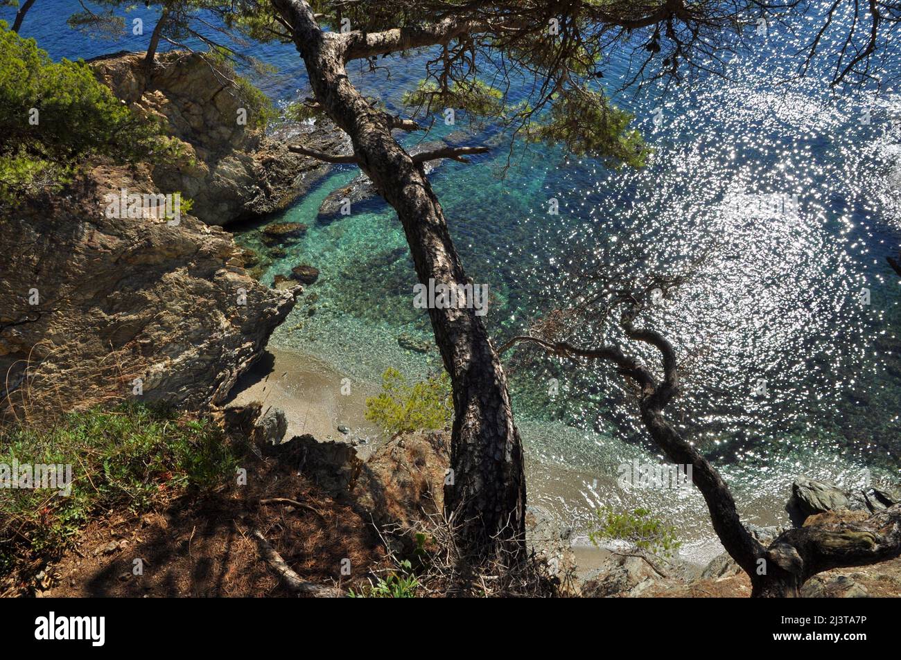 Coastal path of the peninsula of Giens Stock Photo - Alamy